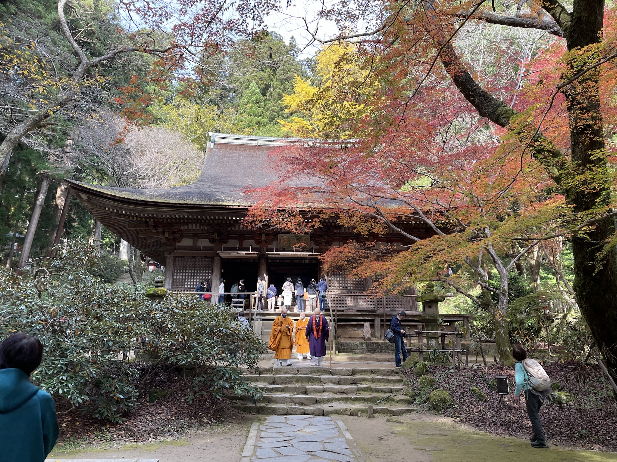 旅のレポート：大阪市平野区の児童デイサービス・ヘルパーステーション｜WILLCARE（ウィルケア）